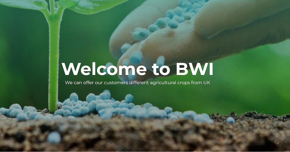 BWI - Business World International